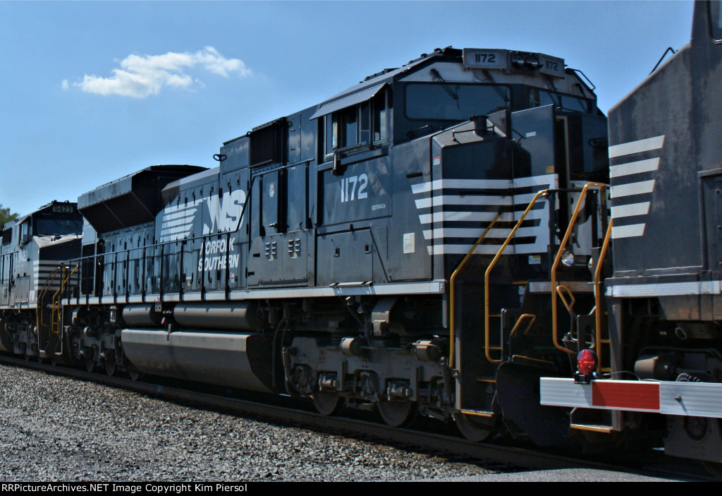 NS 1172